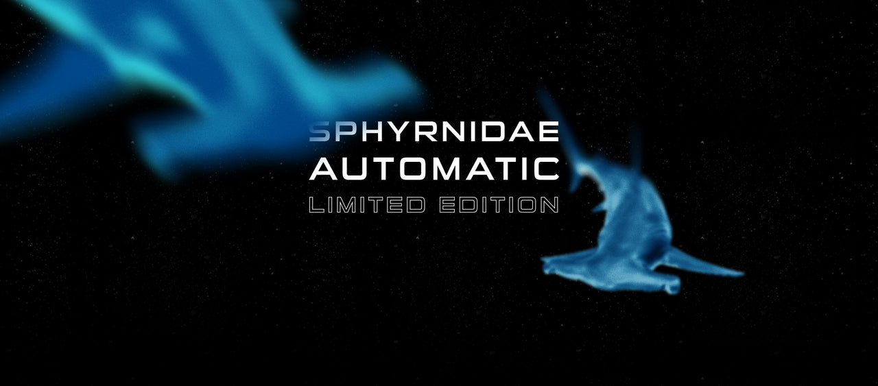 SPHYRNIDAE AUTOMATIC LIMITED EDITION – Nubeo Watches